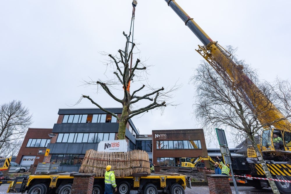 Nieuw pand, nieuw bestuur: Nh1816 onderzoekt álle scenario's (zelfs ...
